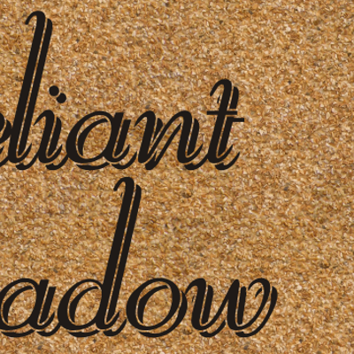 Numbers | Collection | FontSpace