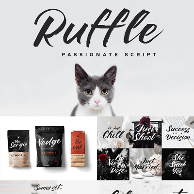 Brush | Collection | FontSpace