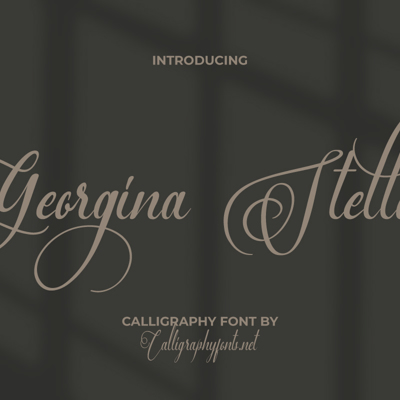 Fancy Calligraphy Script & Lettering | Collection | FontSpace