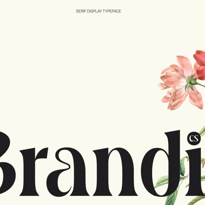 Sfg | Collection | FontSpace