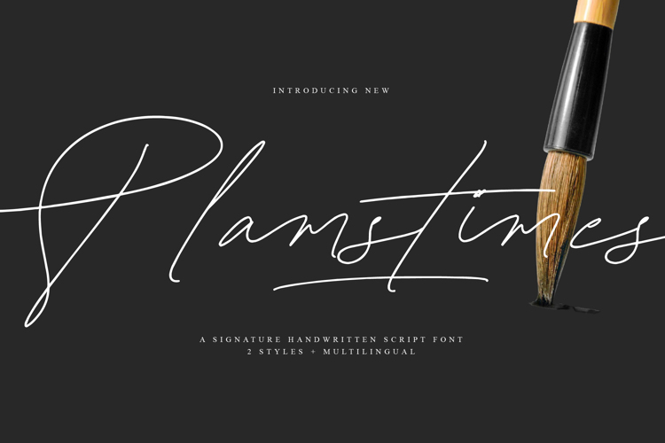 Plamstimes Font - Free Download