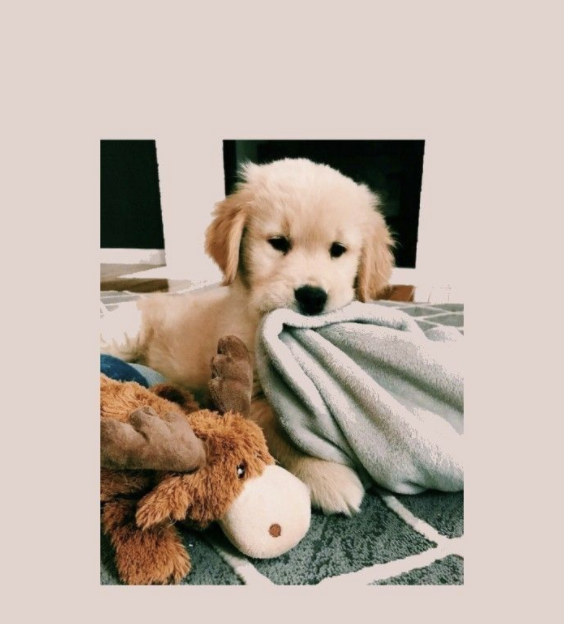 Cute💕 | Collection | FontSpace