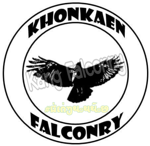 K2 | Collection | FontSpace